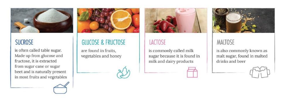 Does Sugar Feed Cancer? | The Cancer Coach