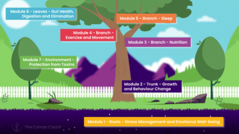 Employee Wellness Program | Boost Vitality & Cancer Defense